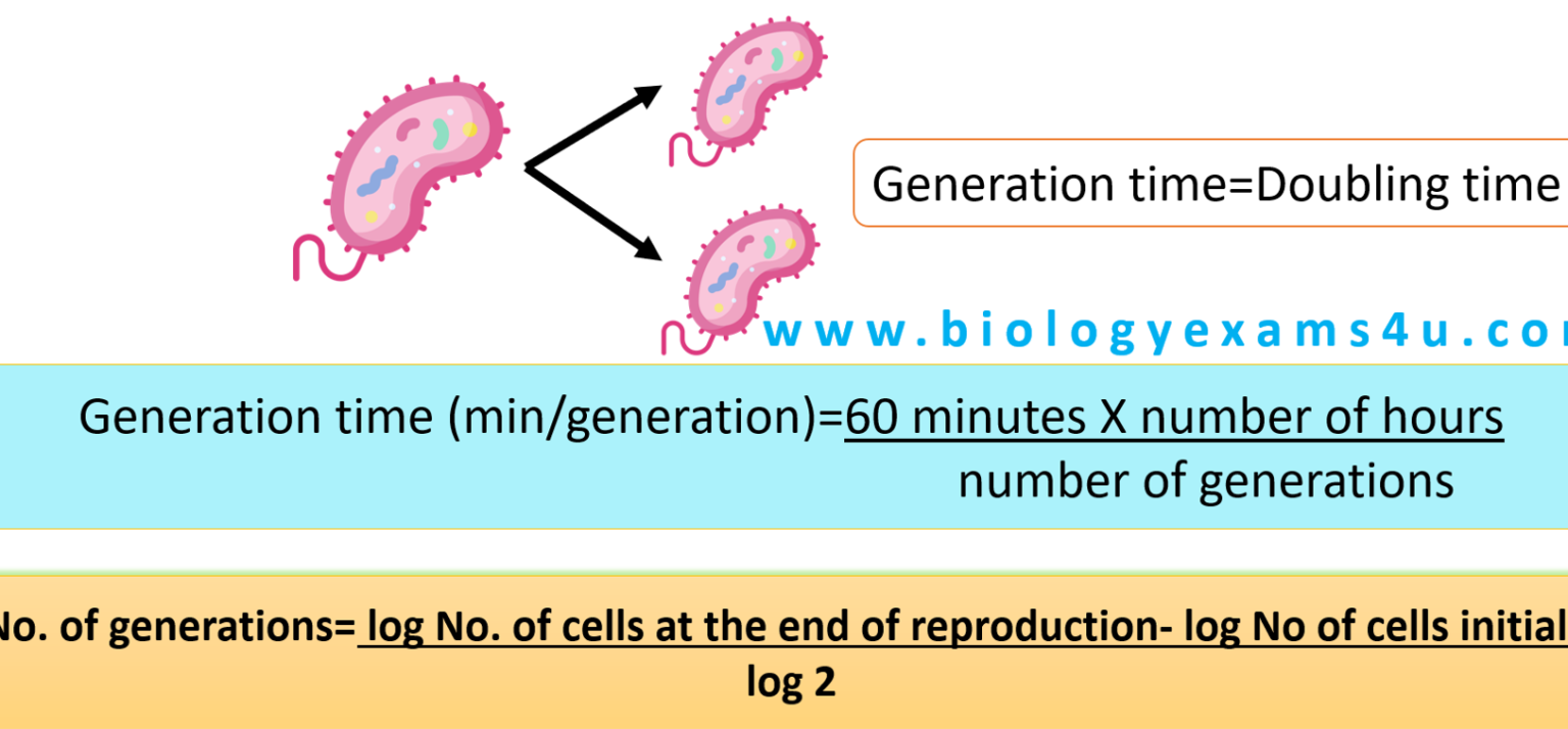 Calculadora de Tiempo de Duplicación Celular: ¡Descubre cuánto tiempo ...